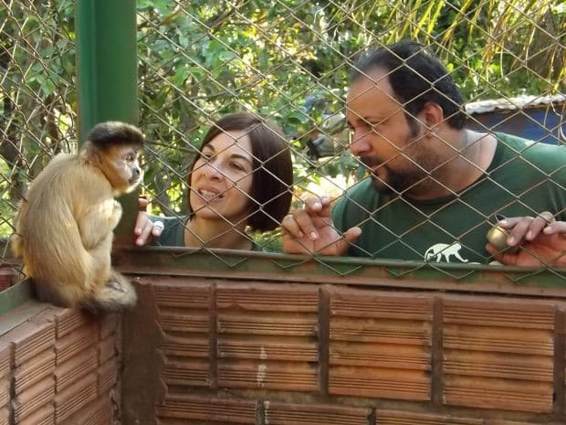 macaco-chico-Alan-Schneider-G1 – Pet Rede